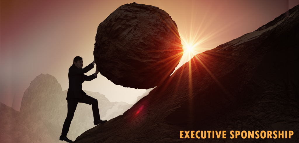 Executive Sponsorhip - Pushing a Boulder Up a Hill - SSP Innovations
