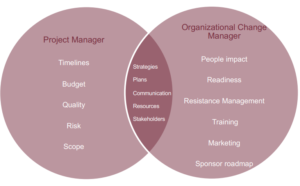 Using Change Management to support Project Management - SSP Innovations